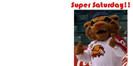 Super Saturdays unveiled for Wildcats games - LHJMQ
