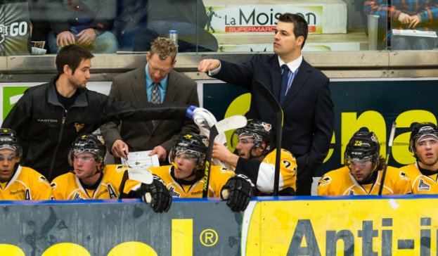 UN SPRINT FINAL ÉREINTANT ATTEND LES TIGRES - LHJMQ