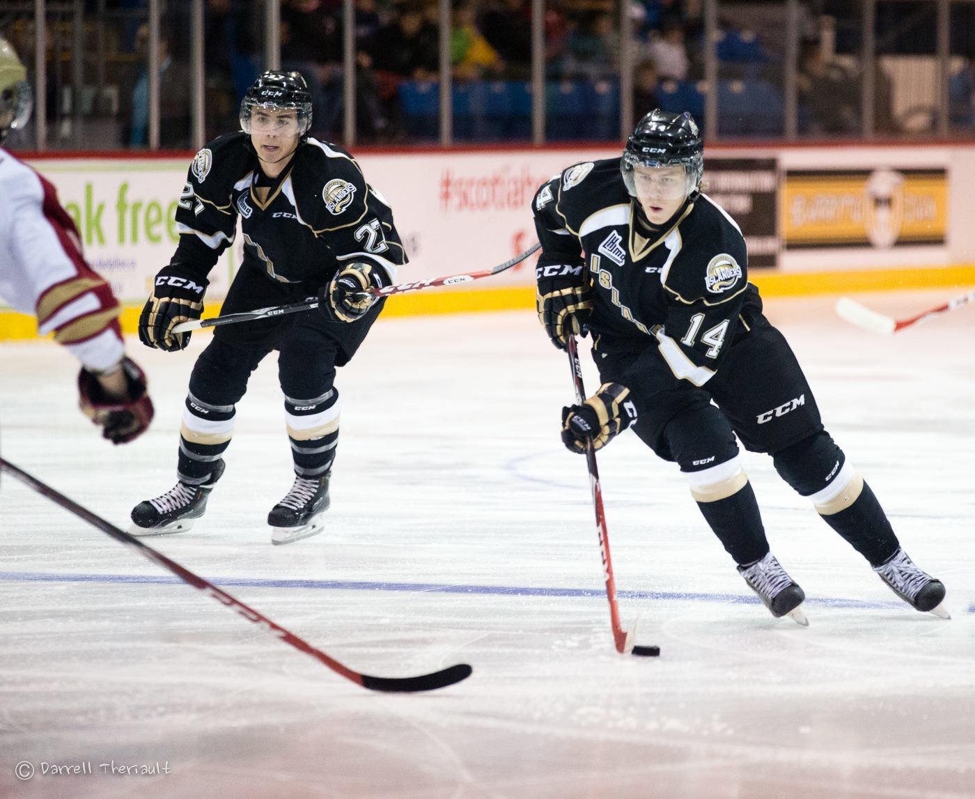 Chlapik breaks Islanders’ rookie scoring record - LHJMQ