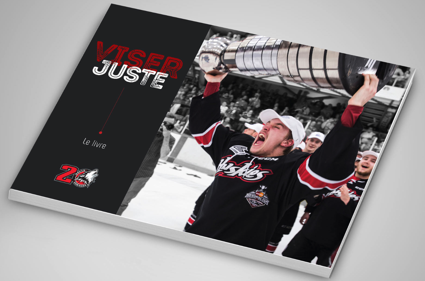 Viser juste – Le livre : un retour sur la 20e saison des Huskies grâce ...