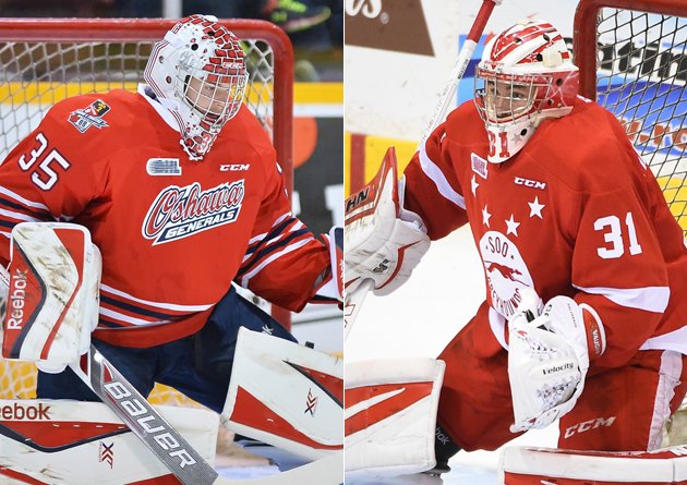 Appleby and Halverson set franchise wins marks - Ontario Hockey League