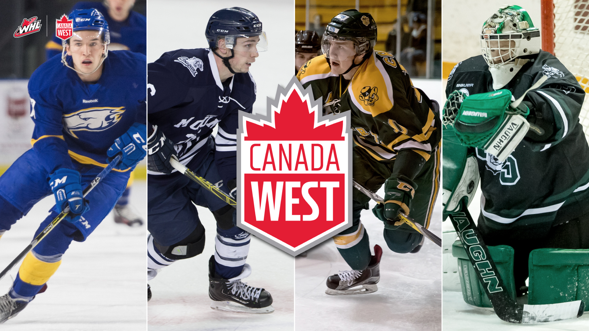 WHL powers CW: 150 WHL graduates set to open Canada West season ...