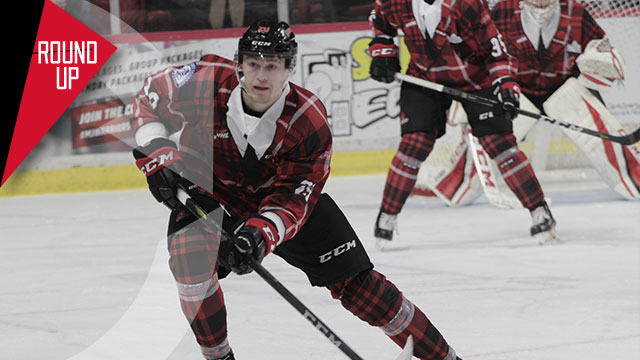 WHL Roundup: Overtime victory suits Warriors just fine - Western Hockey ...