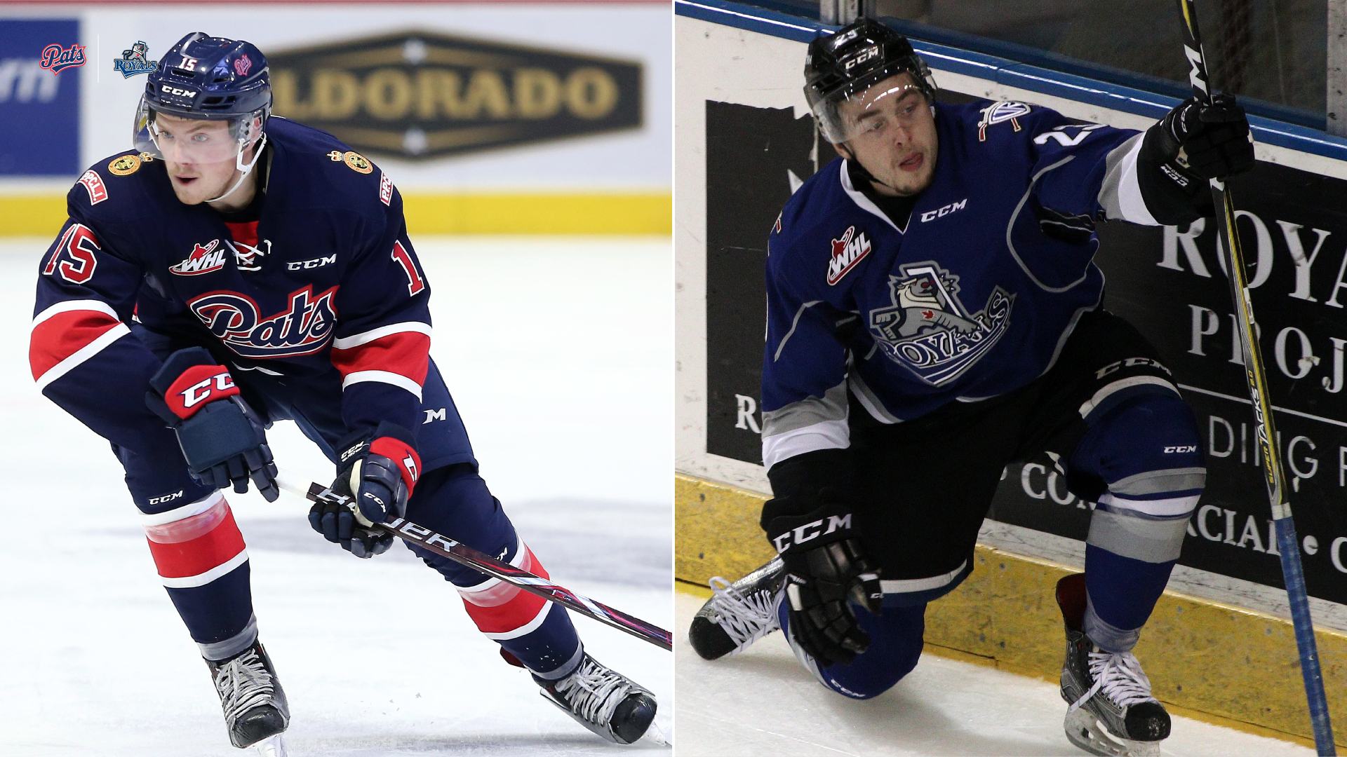 Pats deal Buziak, pick to Royals for Legien - Western Hockey League