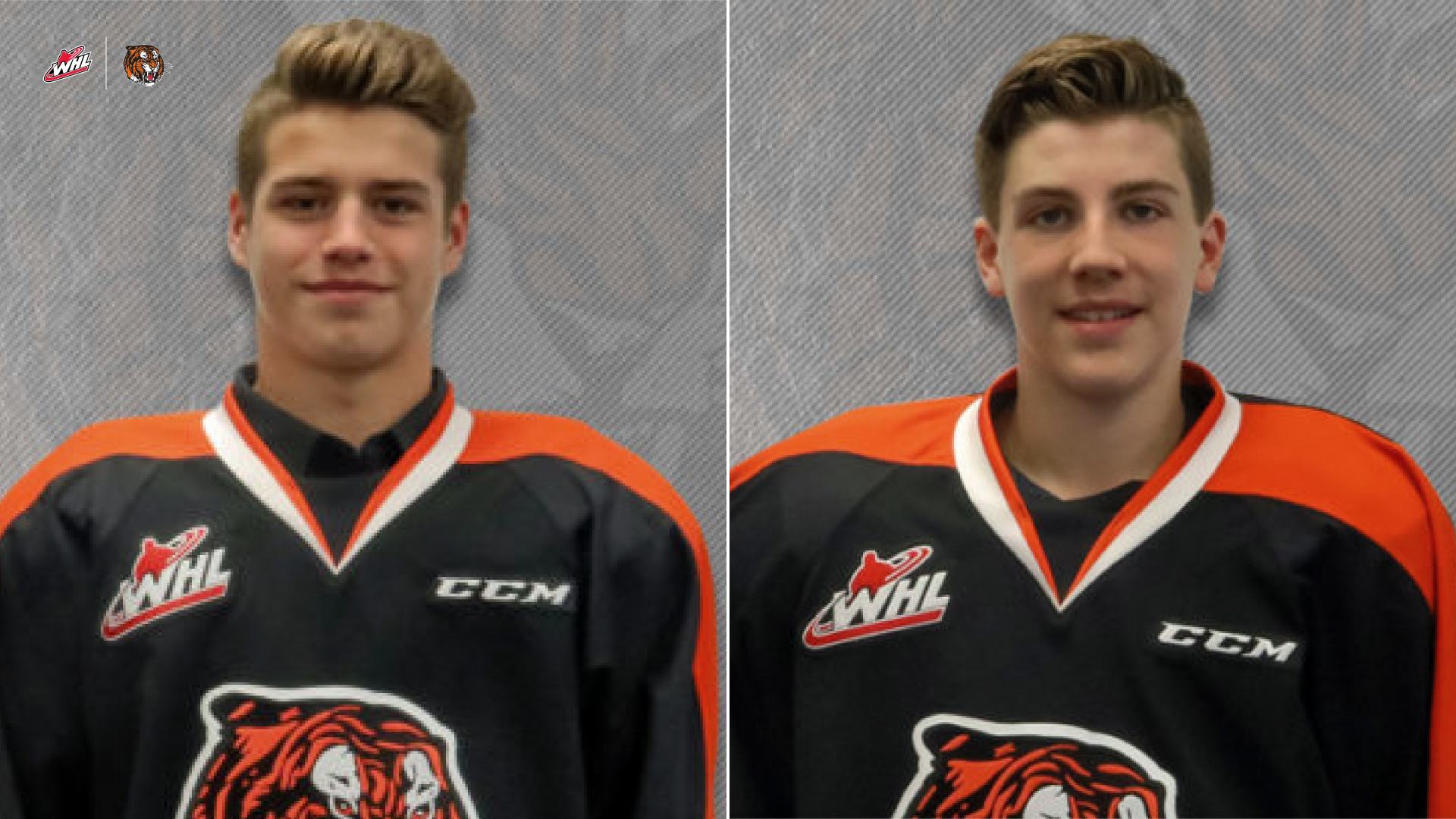 Medicine Hat Tigers sign Sillinger, Krebs to WHL Standard Player ...