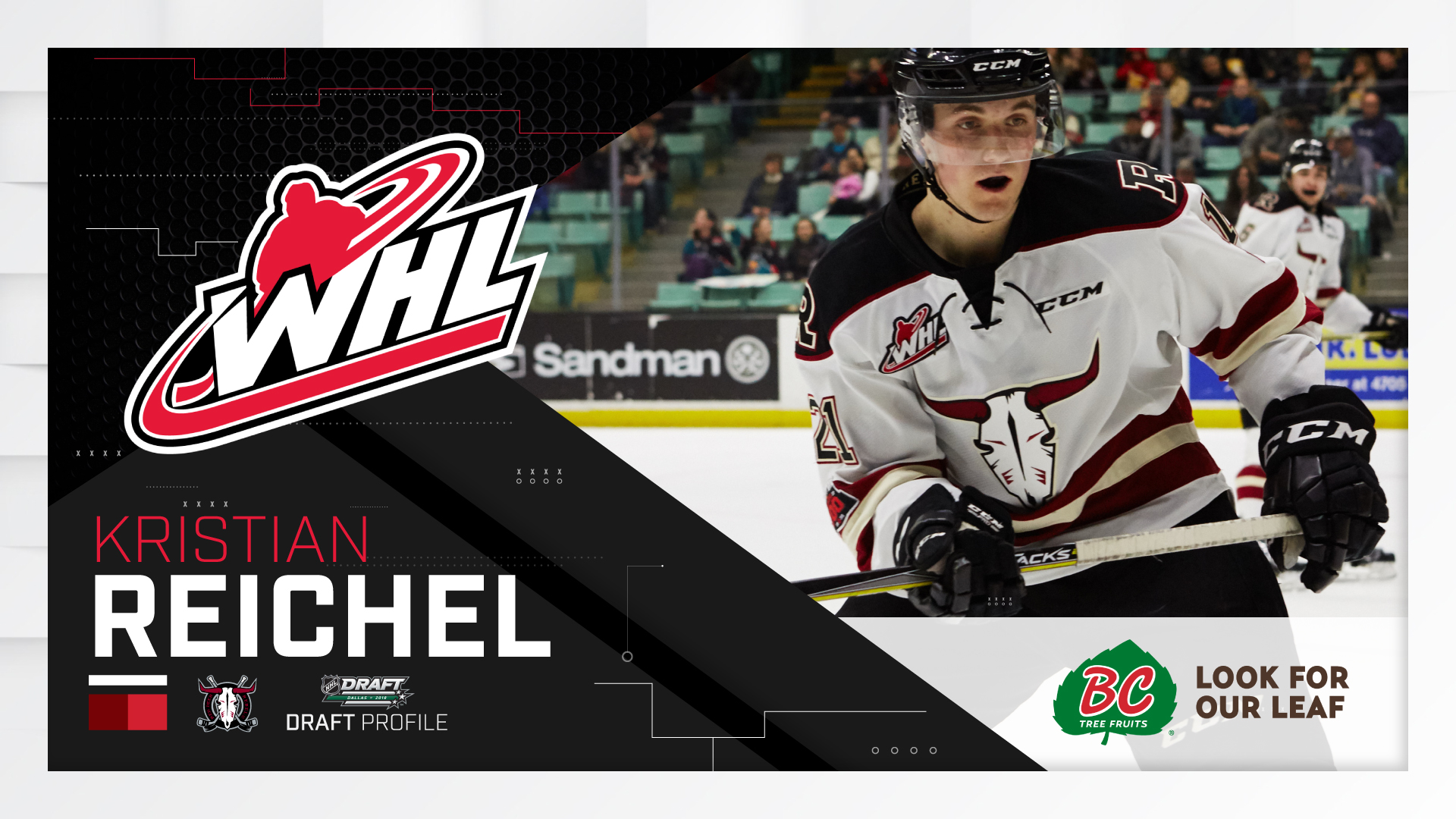 Growing the Game's Best Talent: Kristian Reichel and Filip Kral ...