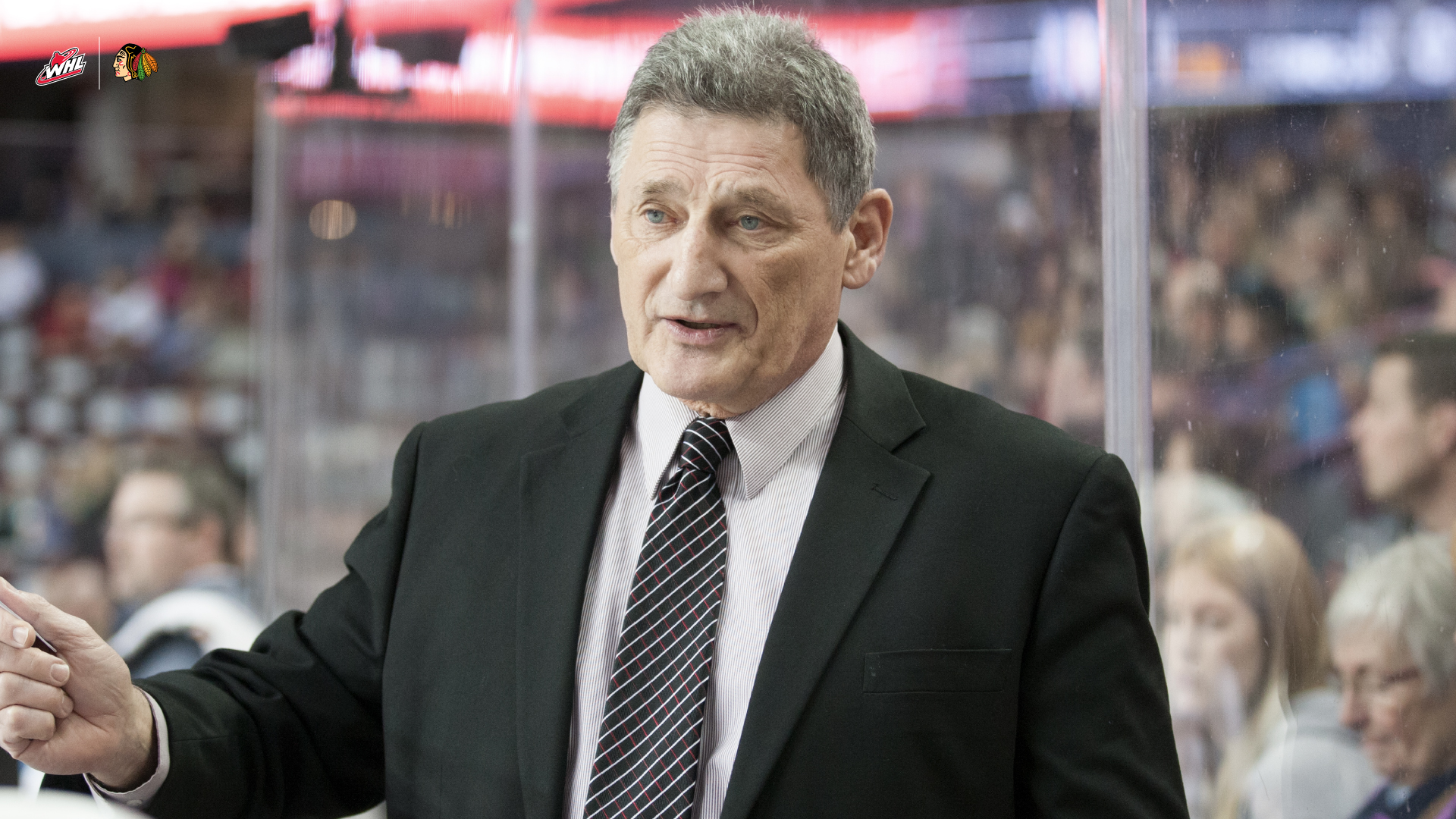 Don Hay joins Portland Winterhawks as assistant coach - Western Hockey ...
