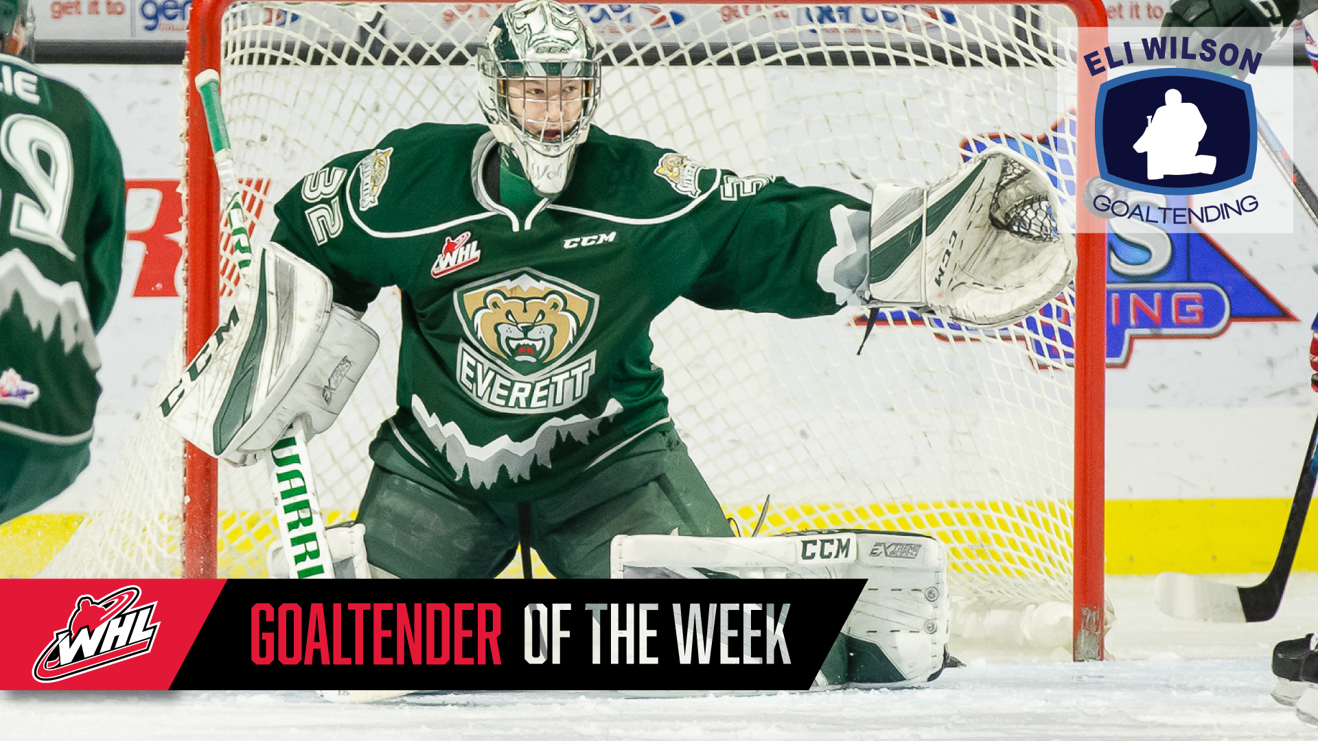Silvertips' Wolf named WHL Eli Wilson Goaltending Goaltender of the Week - Western Hockey League
