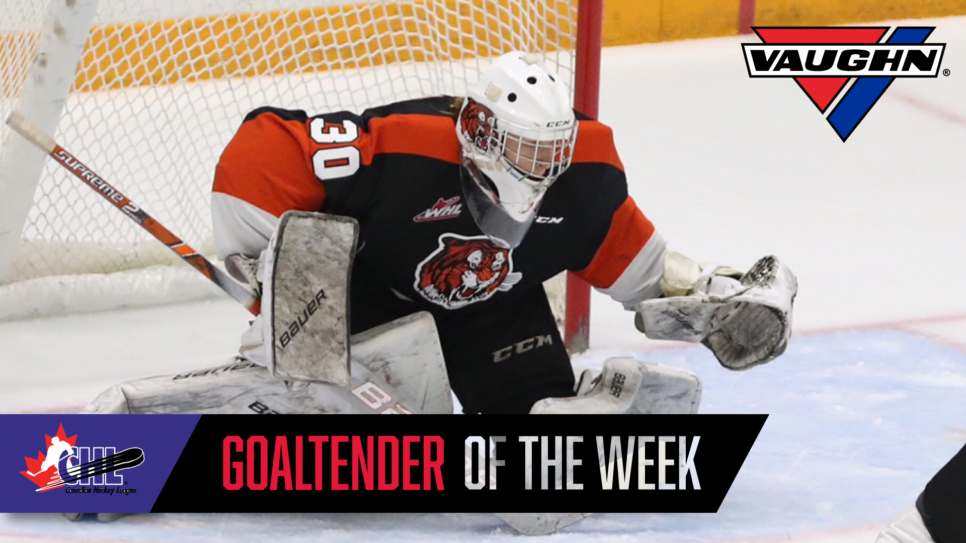 Tigers' Sogaard named Vaughn CHL Goaltender of the Week - Western ...