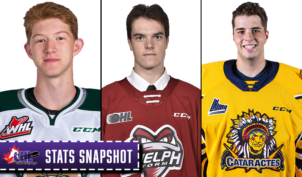 CHL Stats Snapshot - Top Save Percentages - CHL