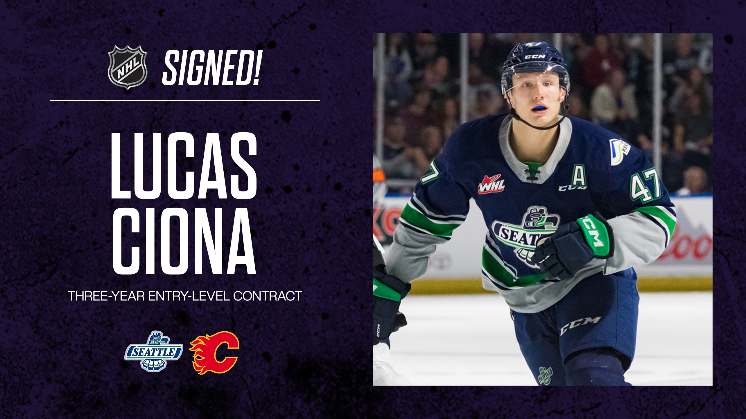 Ciona signs entry-level deal with Flames - Canadian Hockey League