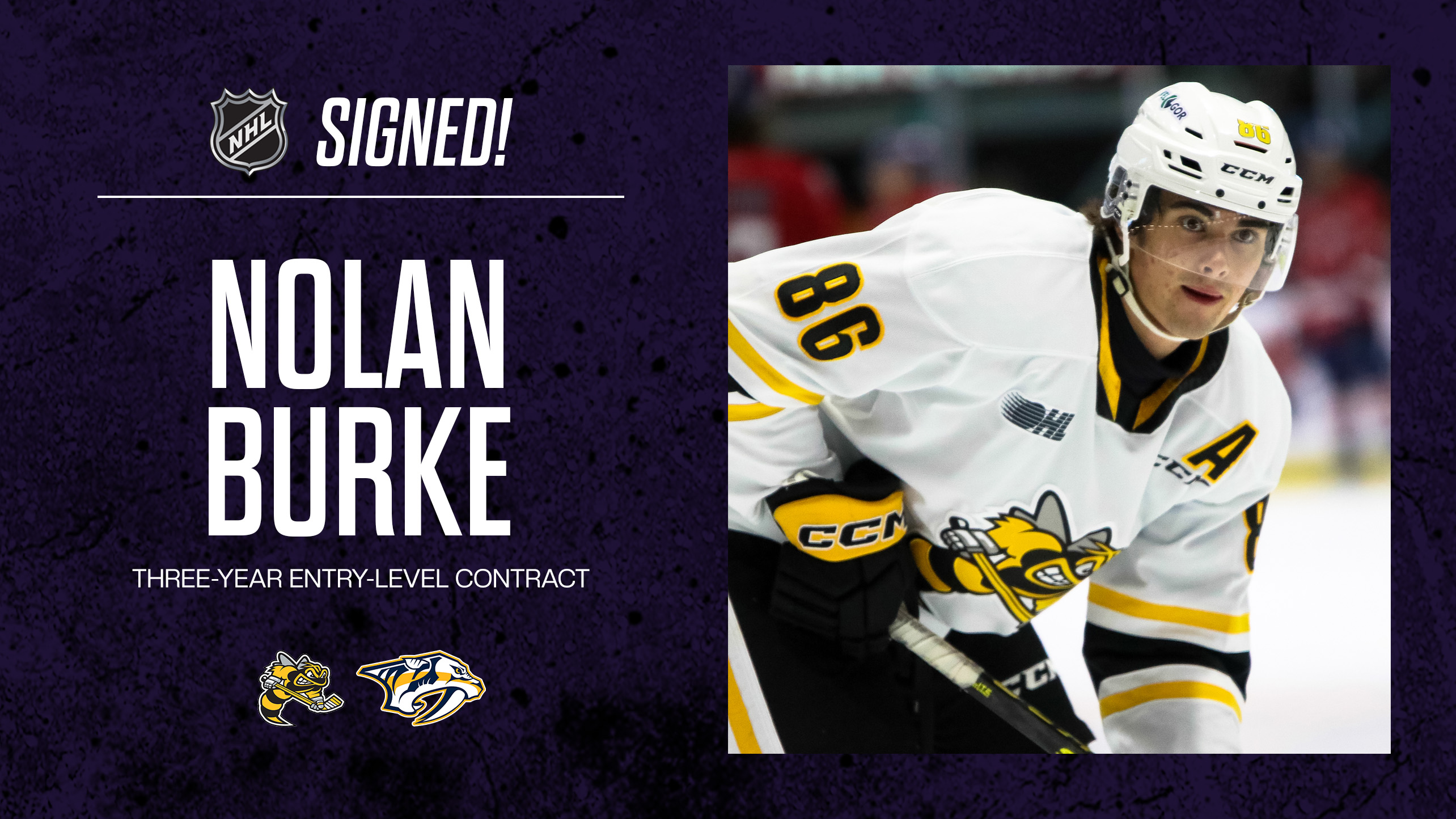 Burke signs ELC with Predators - CHL