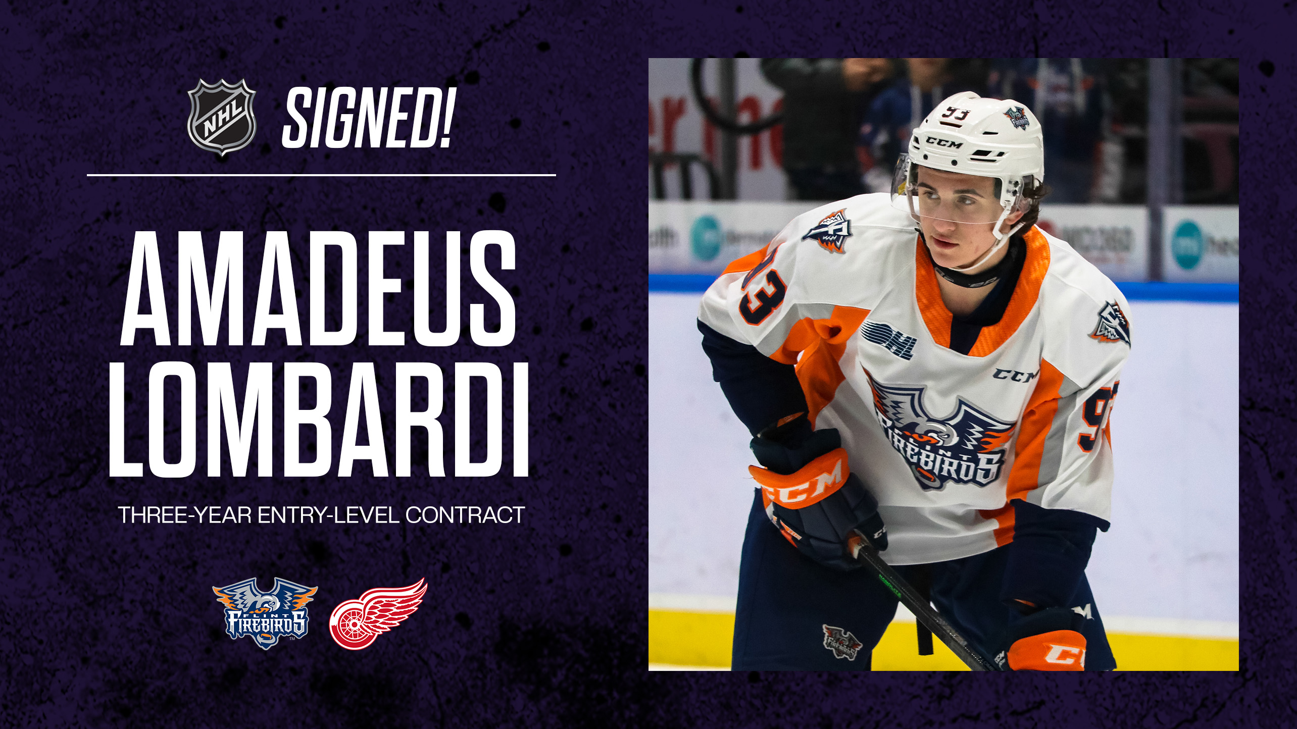 Lombardi pens entry-level contract with Red Wings - Canadian Hockey League
