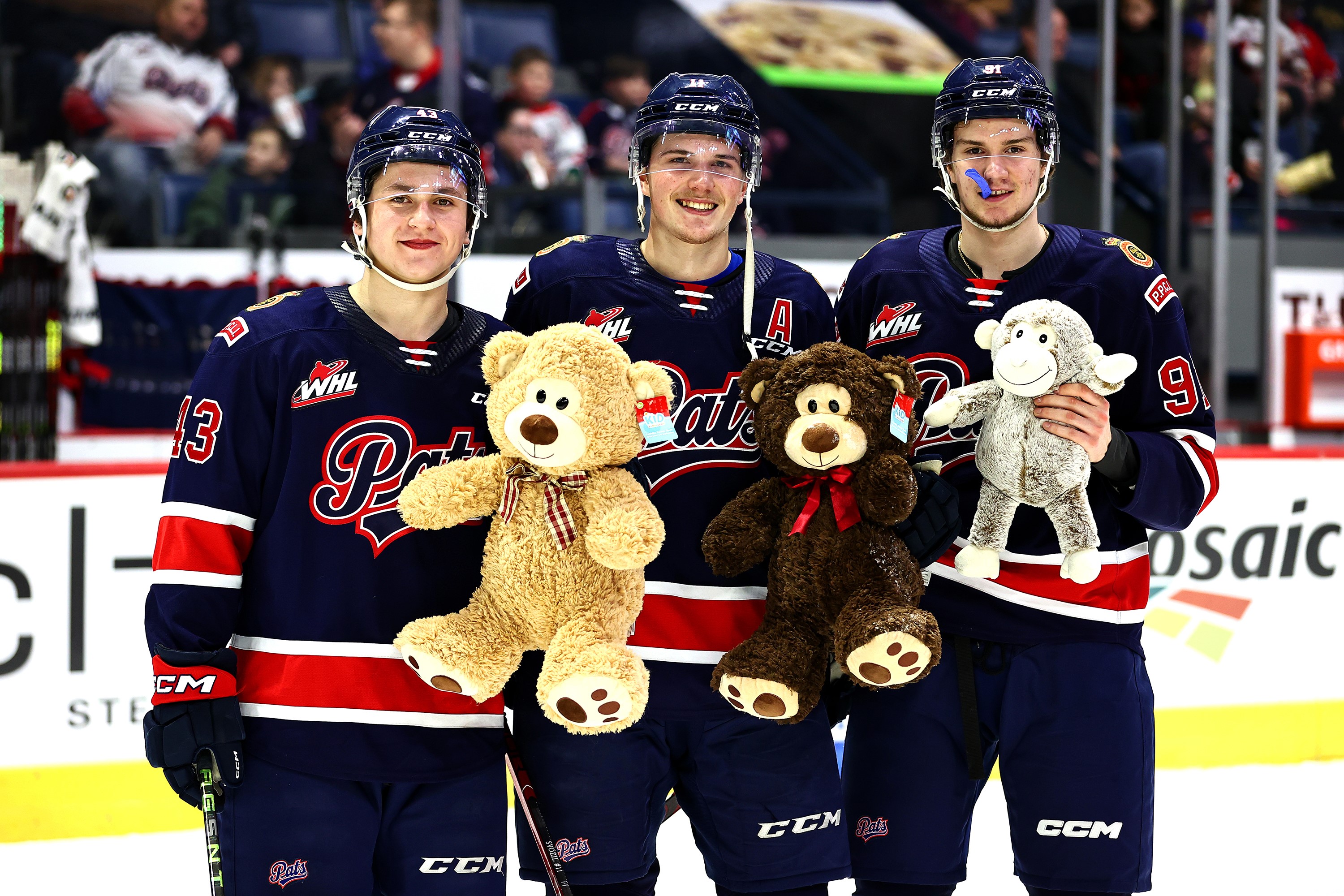 Holiday spirit: More than 100,000 Teddy Bears tossed to ice across ...