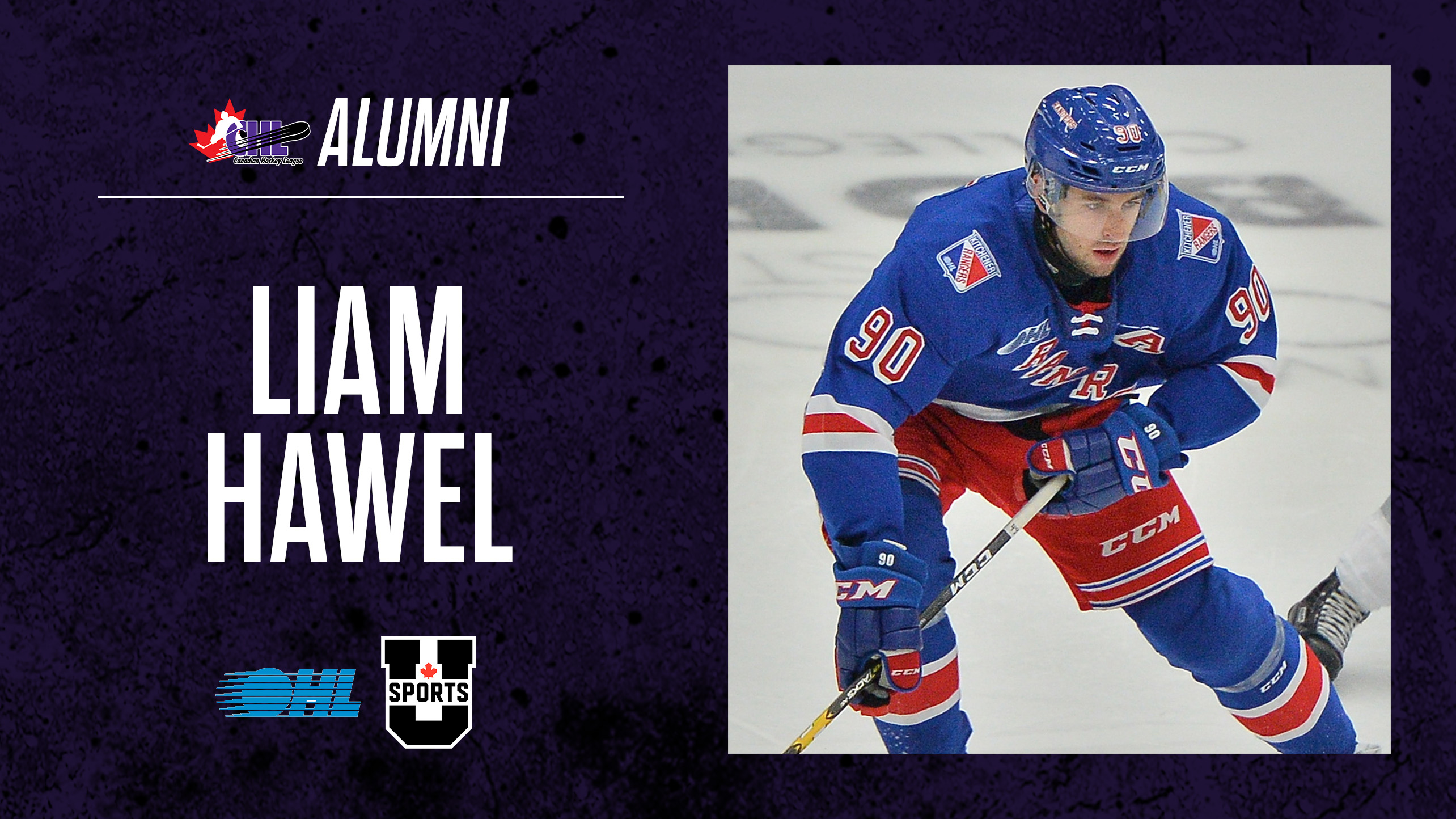 Alumni Report: Liam Hawel – St. Francis Xavier University - Ontario ...